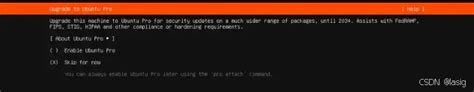 ubuntu 安装说明 ubuntu server minimized csdn博客
