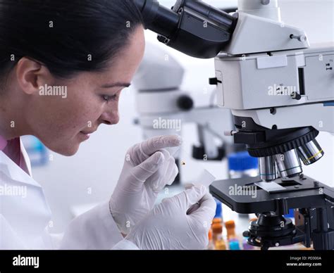 Scientist Viewing Human Sample On Glass Slide Under Microscope Stock
