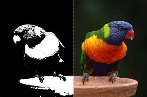 How To Make An Image Black And White In GIMP