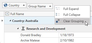 Grouping WPF Controls DevExpress Documentation