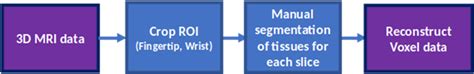 MR Image Data Segmentation Process Download Scientific Diagram