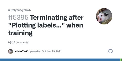 Terminating After Plotting Labels When Training · Issue 5395