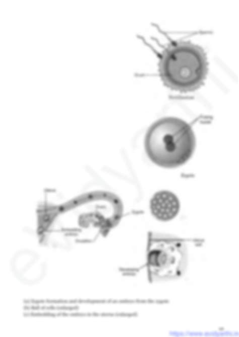 SOLUTION Notes Class 8 Science Chapter 6 Studypool