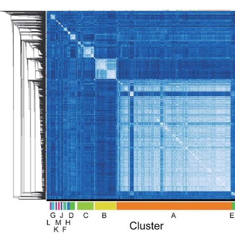 Scheme 1 Workflow Of Peptide Hit Identification Prioritisation And