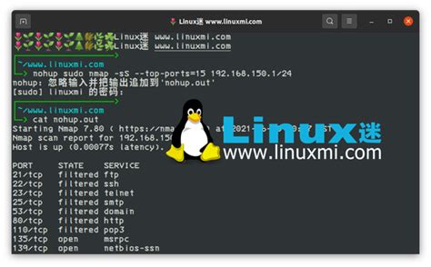 如何在后台运行 Linux 命令 linux 后台运行命令