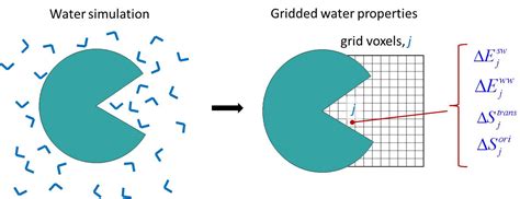Analysis Of Water Thermodynamics Using Grid Inhomogeneous Solvation