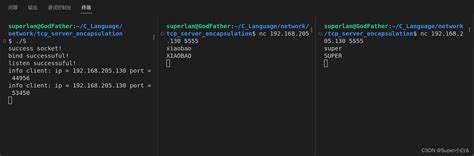 Linuxc 网络 Tcp（cs）多进程服务器demolinux Tcp服务器demo Csdn博客