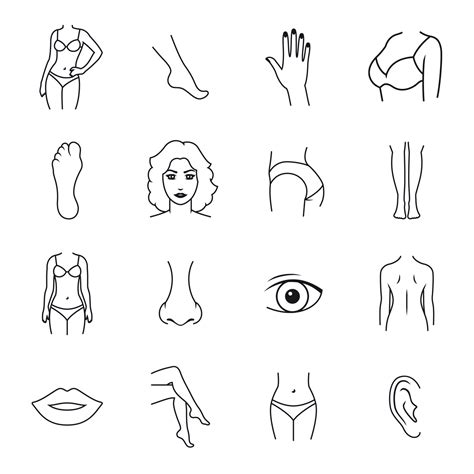Human Body Parts Icons Outline Icons On A White Background 18792120 Vector Art At Vecteezy