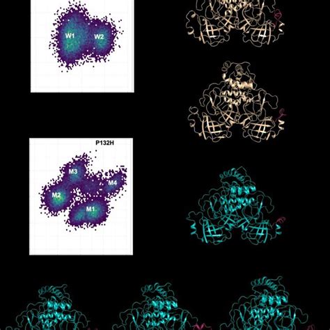 Principal Component Analysis Pcaa And B 2d Projection Of