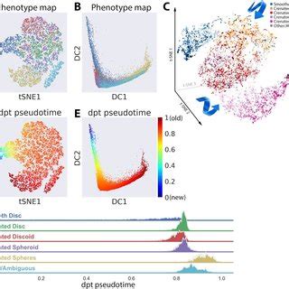 Visualization Of Deep Learning Feature Space And Data Driven Reordering Download Scientific