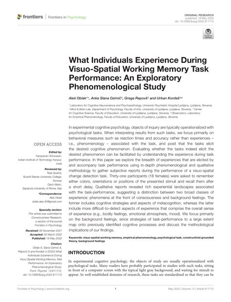 Pdf What Individuals Experience During Visuo Spatial Working Memory