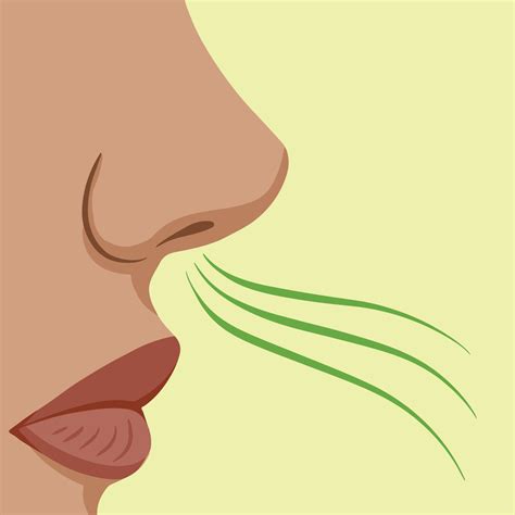 Las Mujeres Se Enfrentan Desde Un Lado Oliendo Algo Malo Ilustración Vectorial De Mal Olor