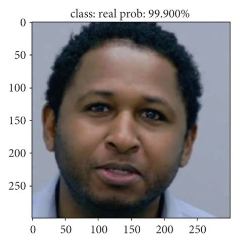 The Real And Fake Pictures Detection Renderings Download Scientific