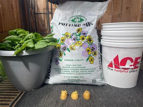 Building Dual Power Structures Including For Food Is Important