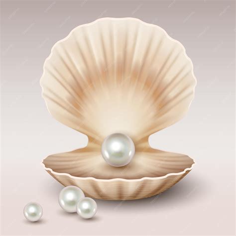 Open Clam With Pearl