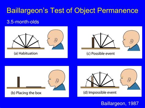 Ppt Infant Cognition Powerpoint Presentation Free Download Id1285631