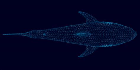 250 Shark Side View Stock Illustrations Royalty Free Vector Graphics