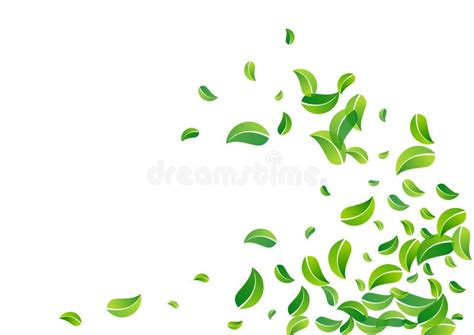 Forest Leaf Fly Vector White Background Backdrop Stock Vector