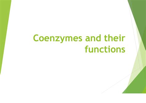 Coenzymes And Their Functions Bt020101 Stuvia Us