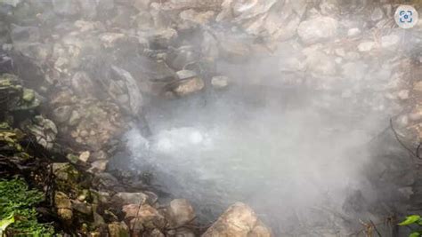 Nasa Scientists Reveal How Trees Can Predict Volcanic Eruptions From