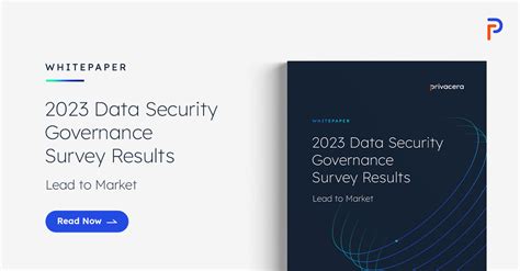 2023 data security governance survey results privacera