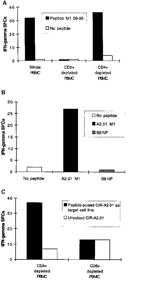 A Influenza Virus Specific Cd8 Memory T Cells With Rapid Effector Download Scientific Diagram