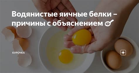 Водянистые яичные белки – причины с объяснением 🍳 | Курочка | Дзен