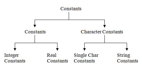 Explain About The Constants In C Language C C Programming