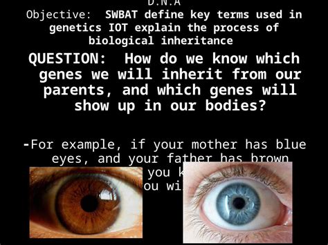 Ppt D N A Objective Swbat Define Key Terms Used In Genetics Iot