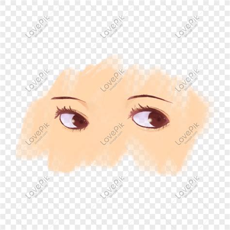 Gambar Mata Wanita Realistis Dan Download Bahan Vektor Alis Png Unduh