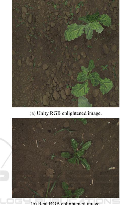 Figure 5 From Simulation Of Near Infrared Sensor In Unity For Plant