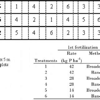 The Experimental Lay Out Of Experiment Where Surface Runoff And Ditch Download Scientific