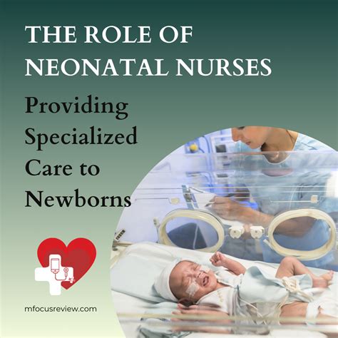 The Role Of Neonatal Nurses Providing Specialized Care To Newborns