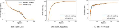 random scaling and momentum for non smooth non convex optimization