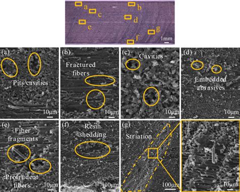 Sem Micrographs Showing Various Surface Morphologies Observed At Download Scientific Diagram