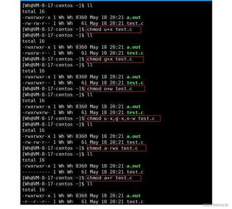 Linux 权限 linux权限问题 CSDN博客