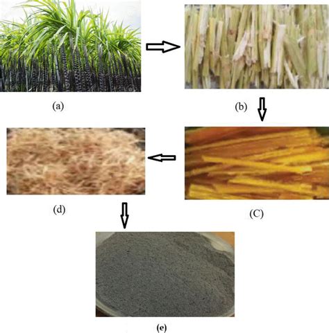How To Compost Sugarcane Bagasse At Julia Belcher Blog