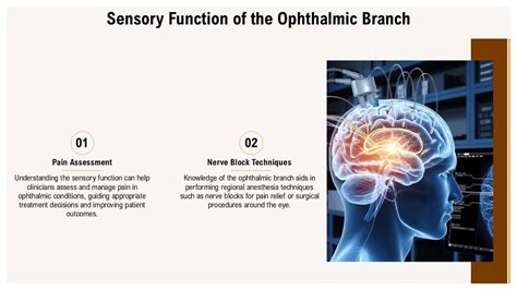 Ophthalmic Branch Of Trigeminal Nerve Foramen Ppt Presentation Acp Ppt