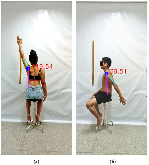 Validity Analysis Of Monocular Human Pose Estimation Models Interfaced