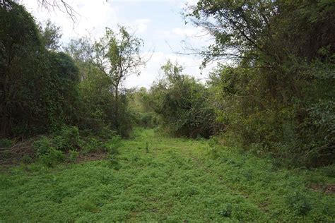 GalerÍa Recorrido Por El Nuevo Parque Nacional El Impenetrable Infobae