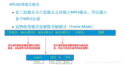 Mpls协议基本知识总结（比较详细，好理解） Csdn博客