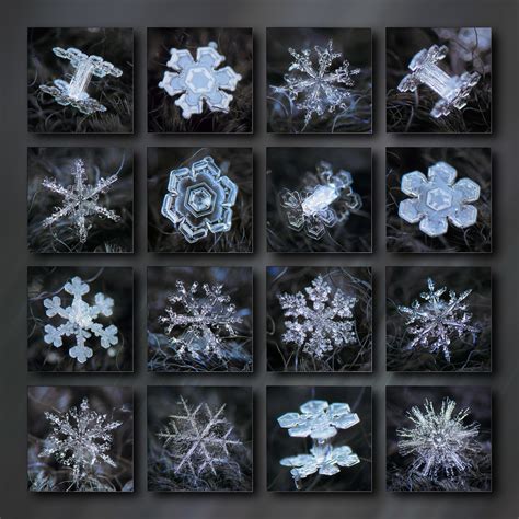 Real Snowflake Images