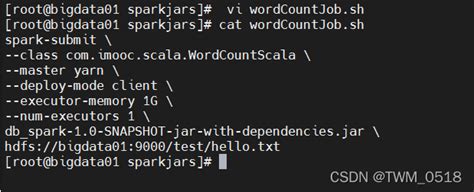 Spark05：【案例】单词计数：Scala代码和Java代码实现以及任务提交的几种方式_scala 读取文件中某个单词出现次数-CSDN博客