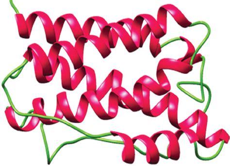 Retrieved 3d Structure Of Target Proteins A Tertiary Structure Of
