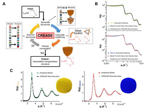 Applying The Crease Method To Reconstruct The Nanoparticle Assembly