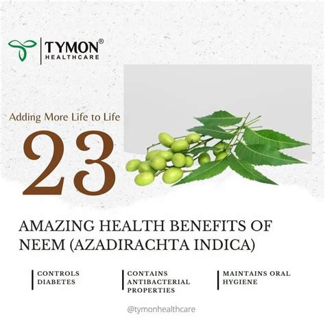 Herbal Neem Capsules At ₹ 350bottle Neem Leaf Capsule In Ludhiana