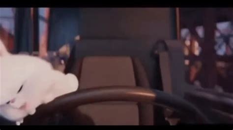 این خرگوشه یا خرگوش اینه؟ این حجم از خرگوشی قابل قبول نیستتت نماشا