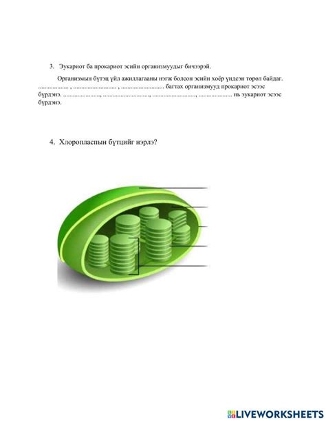 Эсийн бүтэц Online Exercise For Live Worksheets