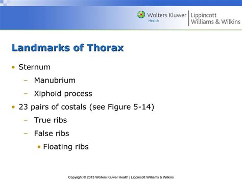 Chapter 5 The Skeletal System Ppt Download