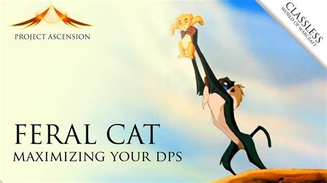 WoW Ascension K DPS Build Naked No Gear Feral Cat Guide YouTube